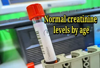 Normal Creatinine Levels By Age: Everything You Need To Know About ...